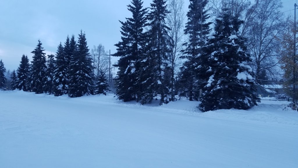 Alaska in December {Part 1} - Sunny Side