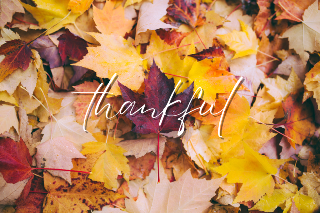 Thankful Thursday {9.21.23} - Sunny Side